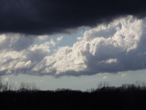 Reading the Sky - How Nature Can Predict the Weather