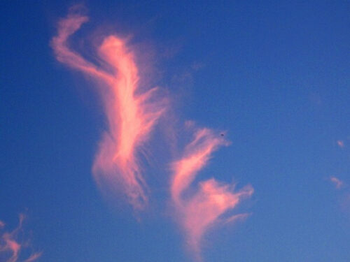 Reading the Sky - How Nature Can Predict the Weather