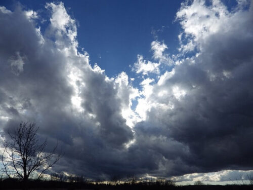 Reading the Sky - How Nature Can Predict the Weather