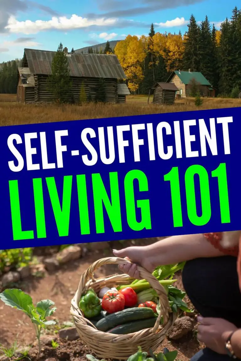 Self-Sufficient Living 101