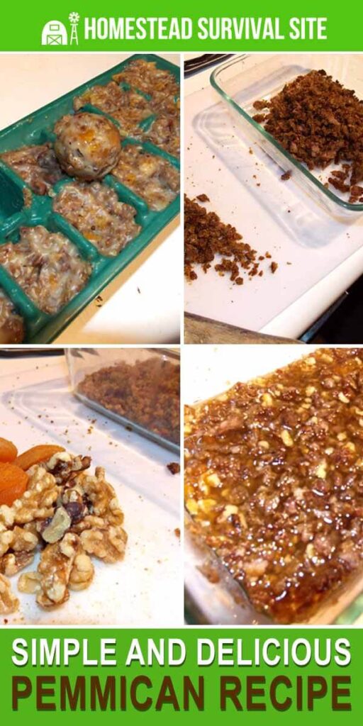 Simple and Delicious Pemmican Recipe
