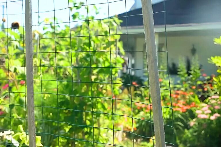 5 DIY Cucumber Trellis Ideas