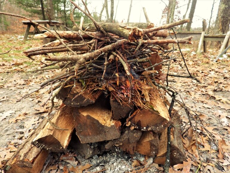 How to Start a Fire Even If The Wood Is Wet