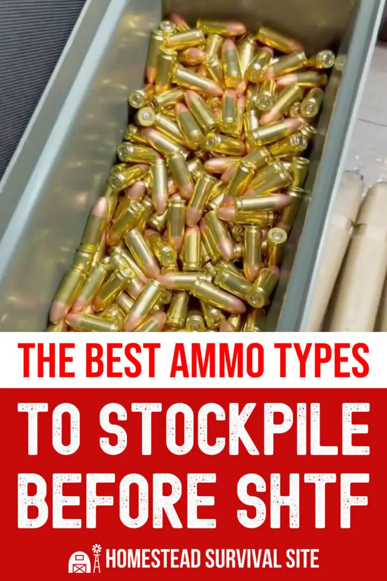 The Best Ammo Types To Stockpile Before SHTF