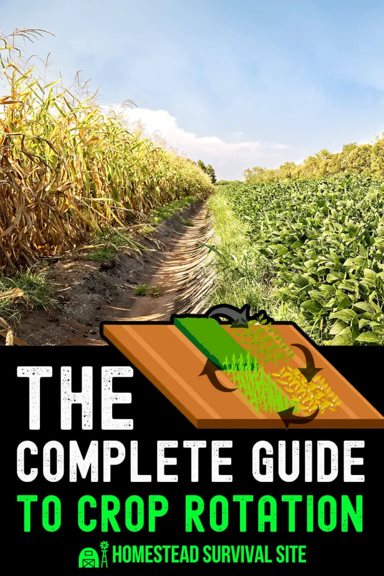 The Complete Guide to Crop Rotation