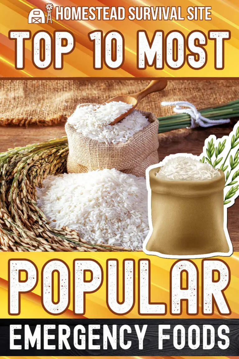 Top 10 Most Popular Emergency Foods