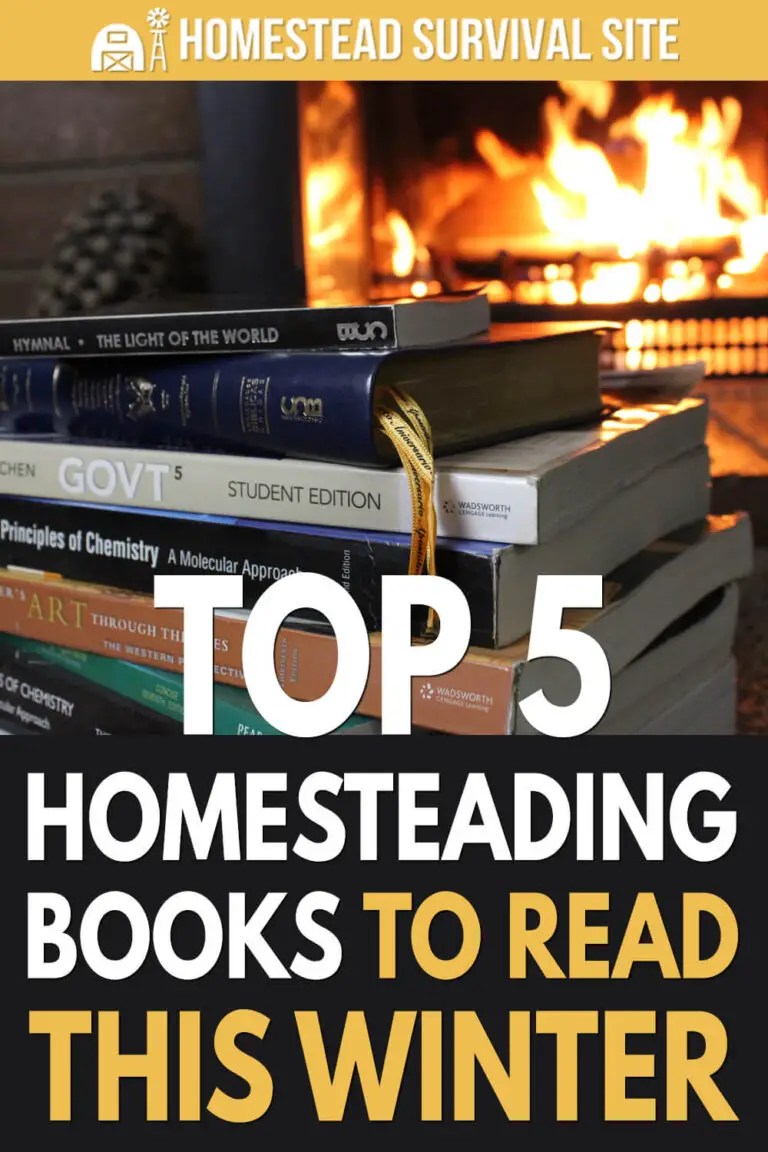 Top 5 Homesteading Books to Read This Winter
