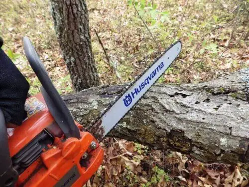 How To Safely Cut Down A Tree