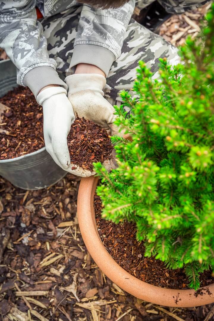 The Ultimate Guide to Mulching
