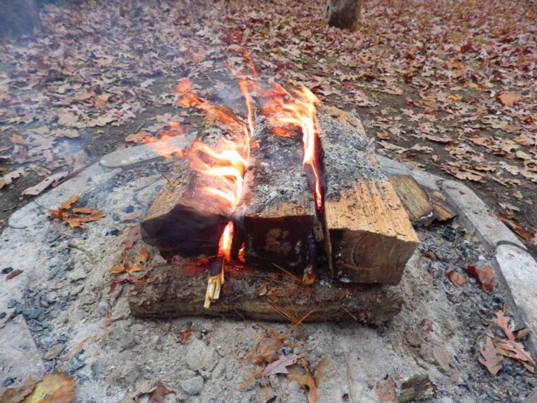 How to Start a Fire Even If The Wood Is Wet