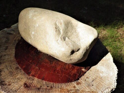9 Survival Tools You Can Make From Tree Bark