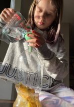 2 DIY Mosquito Traps That Are Easy To Make