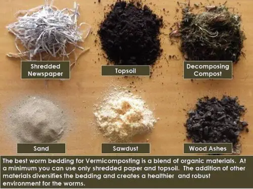 Create Endless Fertilizer for Your Garden With Vermicomposting