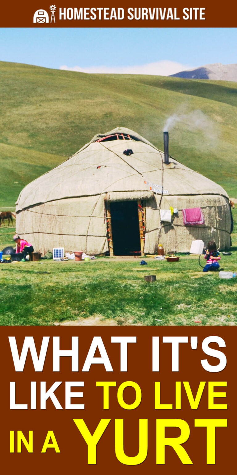 What It's Like To Live In A Yurt - Homestead Survival Site