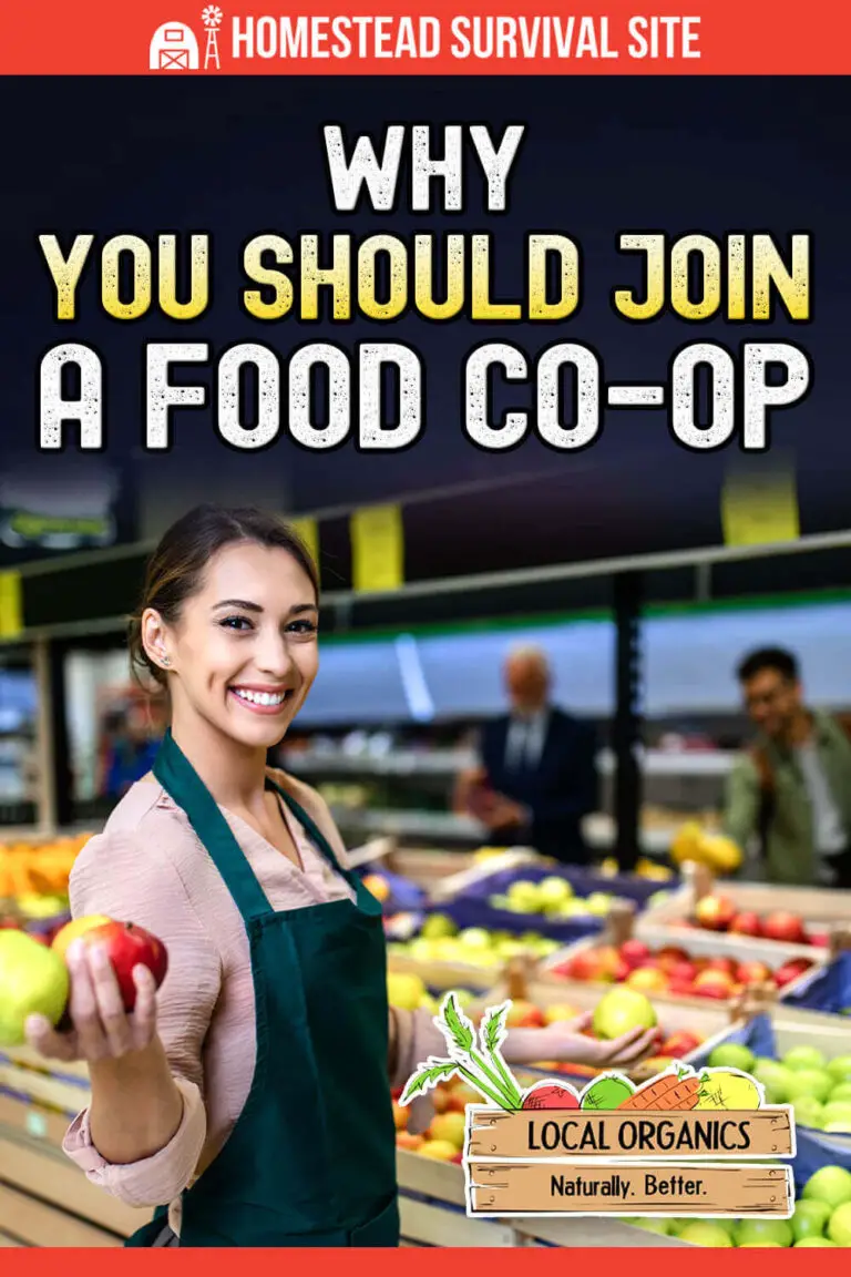 Why You Should Join a Food Co-op