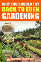 Why You Should Try Back to Eden Gardening