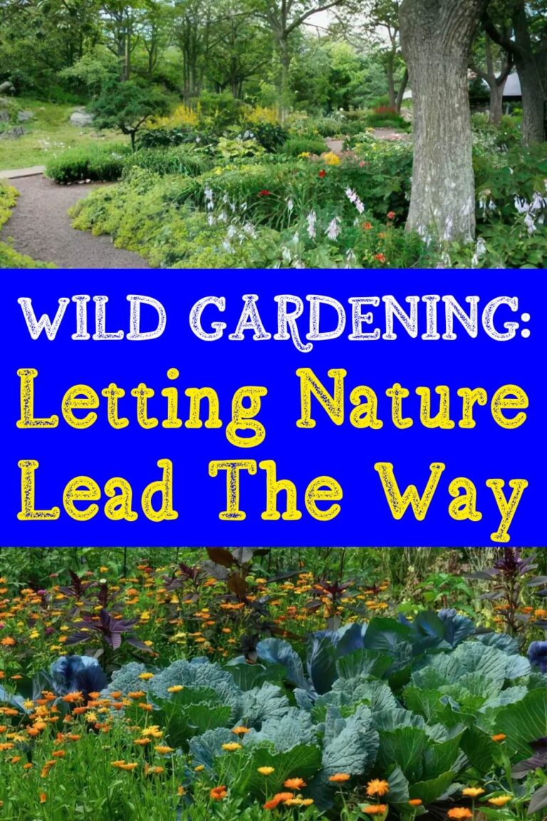 Wild Gardening: Letting Nature Lead The Way