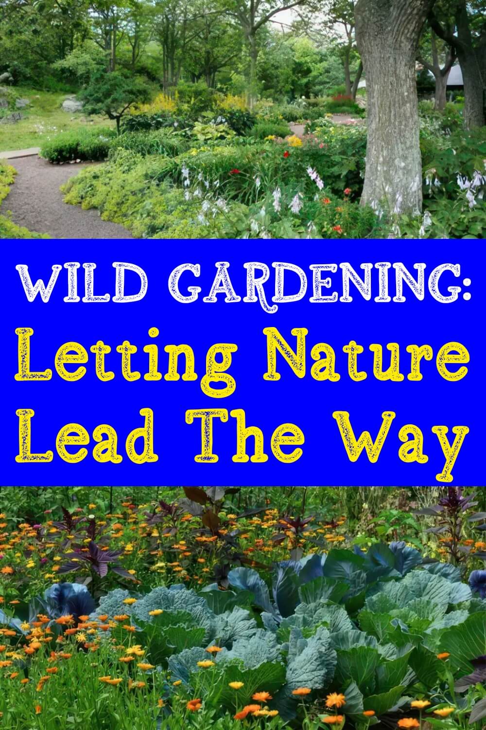 Wild Gardening: Letting Nature Lead The Way