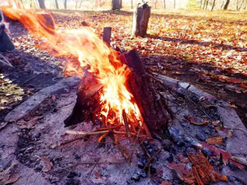 How to Start a Fire Even If The Wood Is Wet