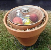 10 Ways to Keep Produce Fresh Without a Fridge